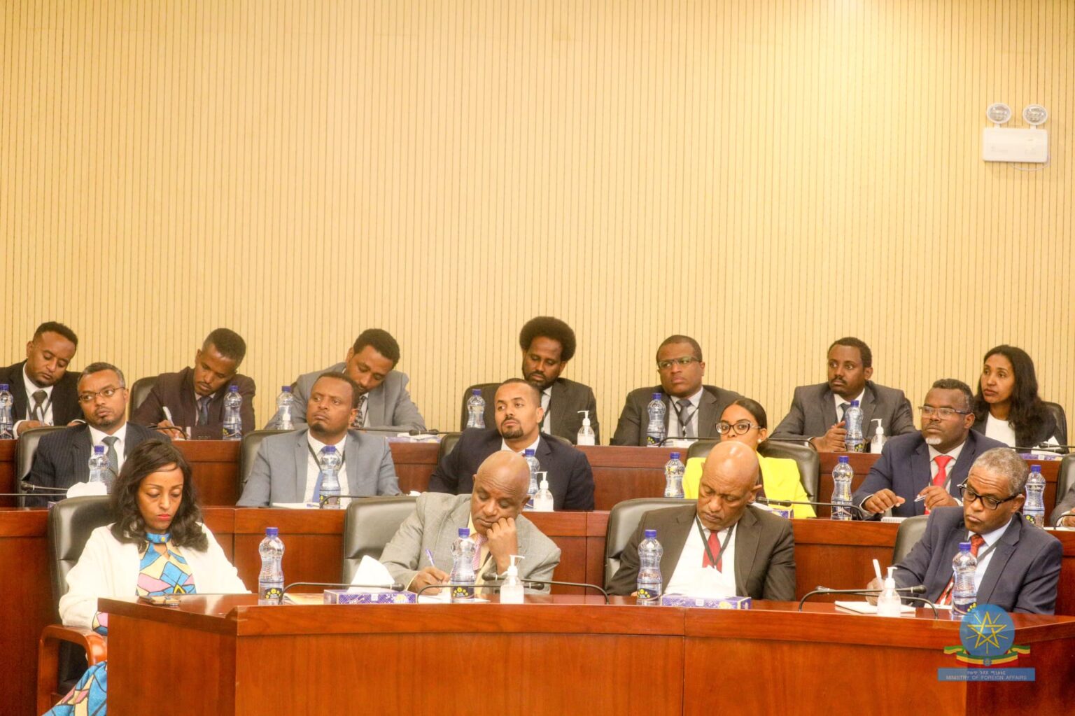 Intensive training on the dimensions of new Ethiopian diplomacy kicks ...