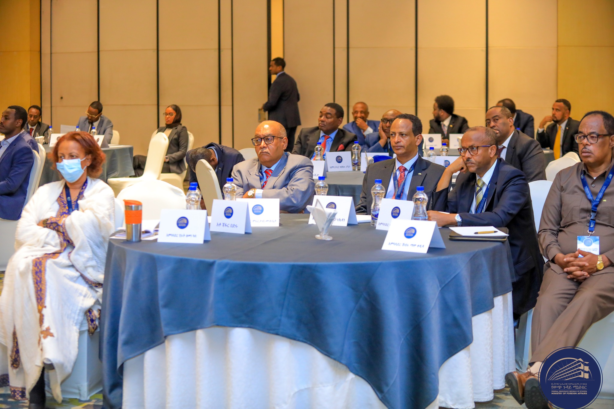 Consolidated Diplomatic Engagement needed to Advance Ethiopia’s ...