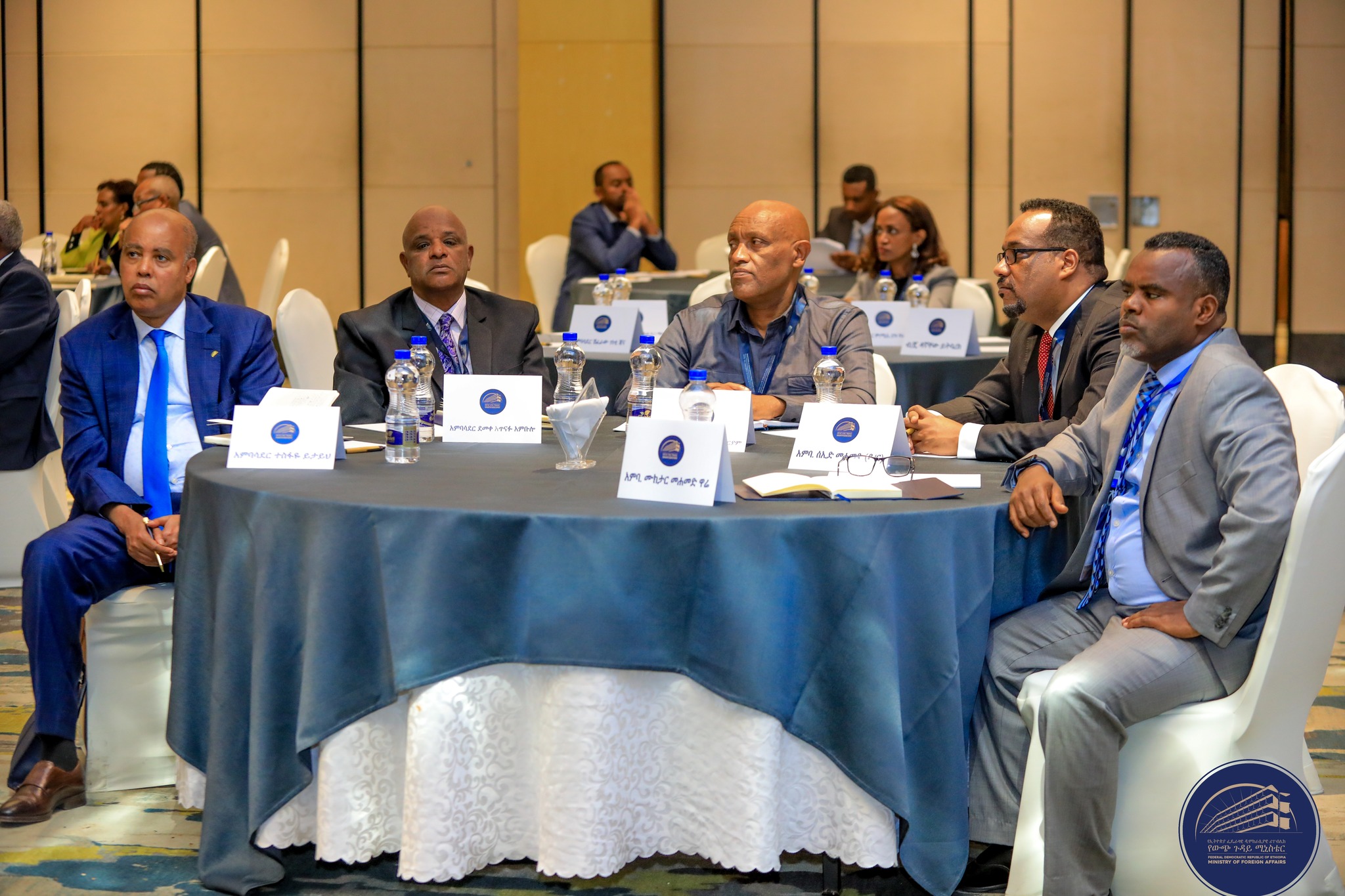 Consolidated Diplomatic Engagement needed to Advance Ethiopia’s ...