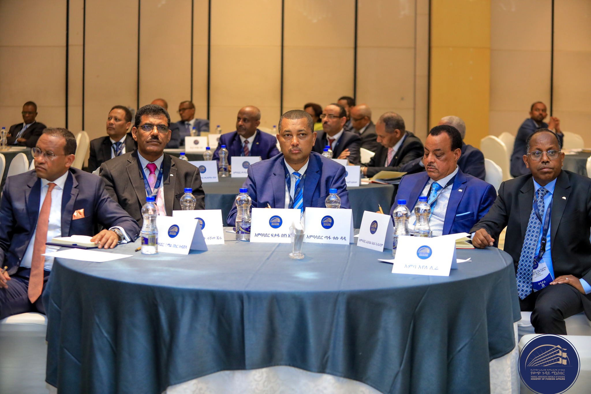 Consolidated Diplomatic Engagement needed to Advance Ethiopia’s ...