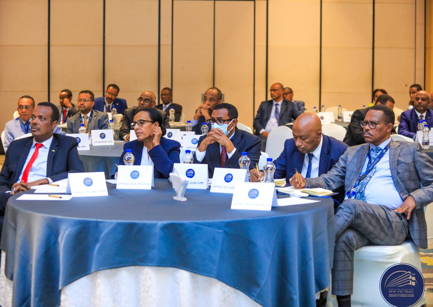 Consolidated Diplomatic Engagement needed to Advance Ethiopia’s ...